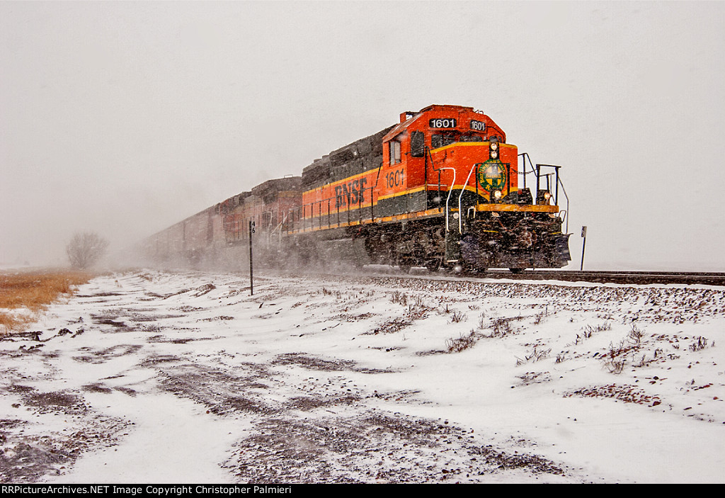 BNSF 1601 Leads M-LINLIN1-04